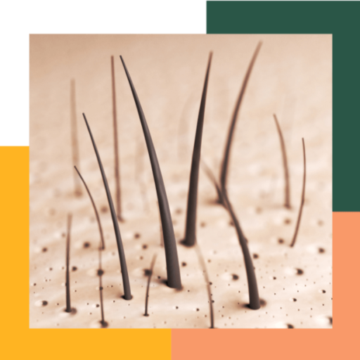 AI Enhanced Hair Treatment for Clinics - Hairscope